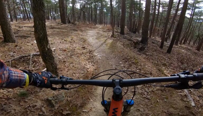 Best 13 Hikes and Trails in Pinnacle Mountain State Park: Explore the ...